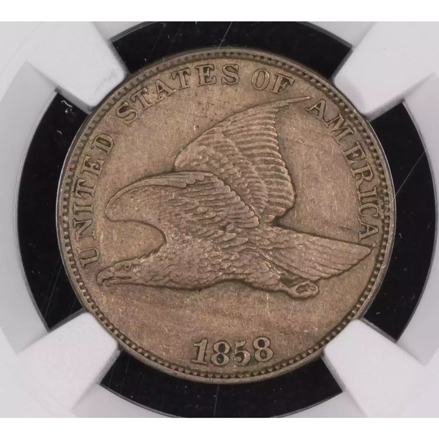 1858 Small Cents Flying Eagle NGC AU-50 Large Letters - Hertel's Coins Inc.