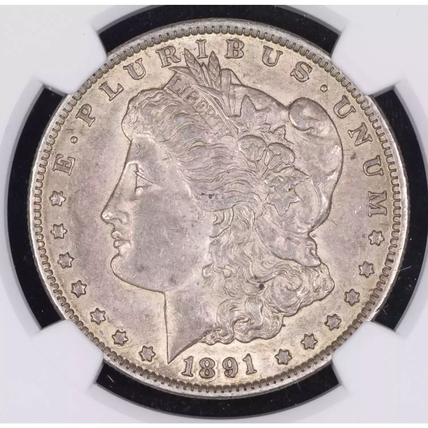 1891-CC Morgan Silver Dollar NGC XF-45 VAM-3 SPITTING EAGLE - Hertel's Coins Inc.