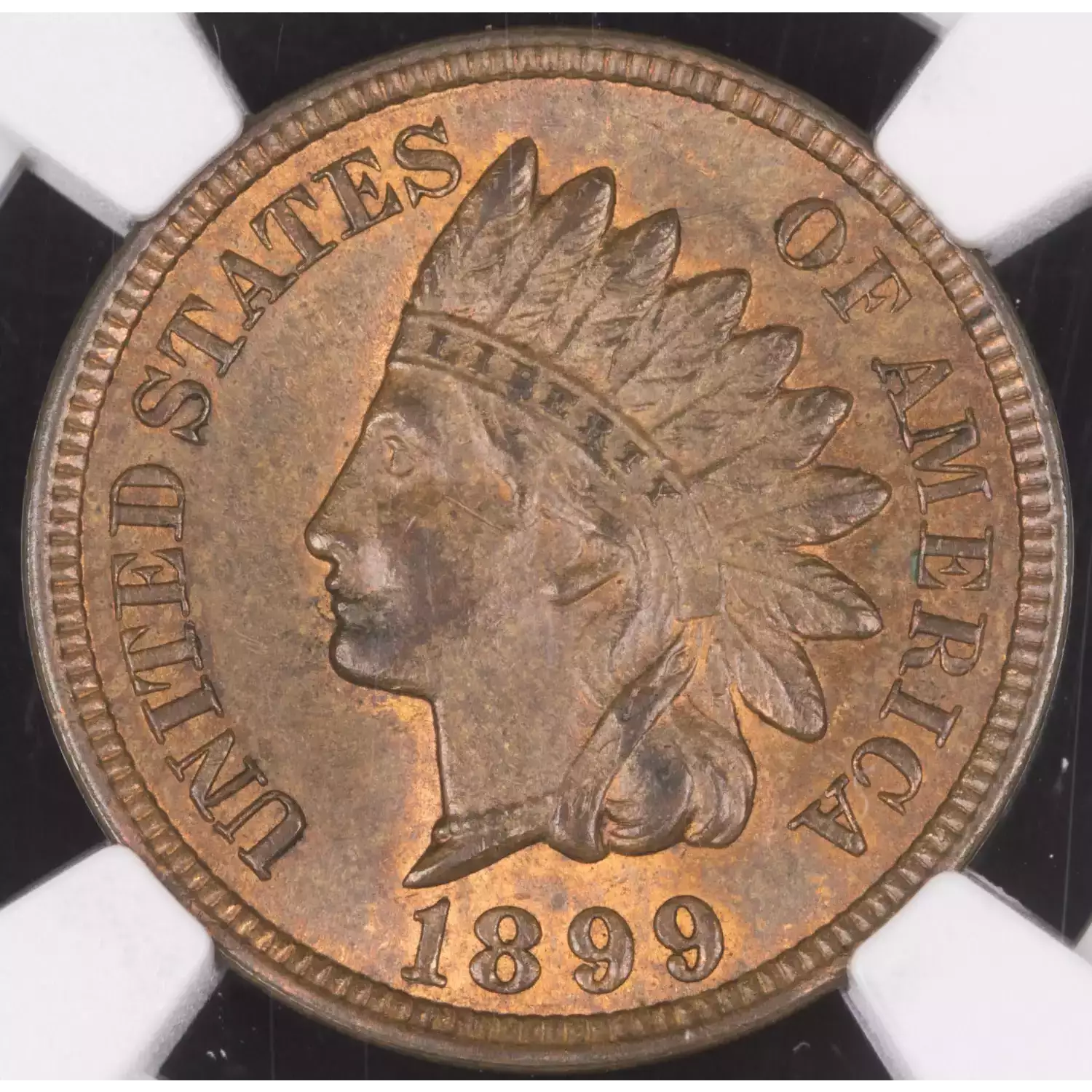 1899 NGC MS-63 RB Small Cents Indian Head - Hertel's Coins Inc.