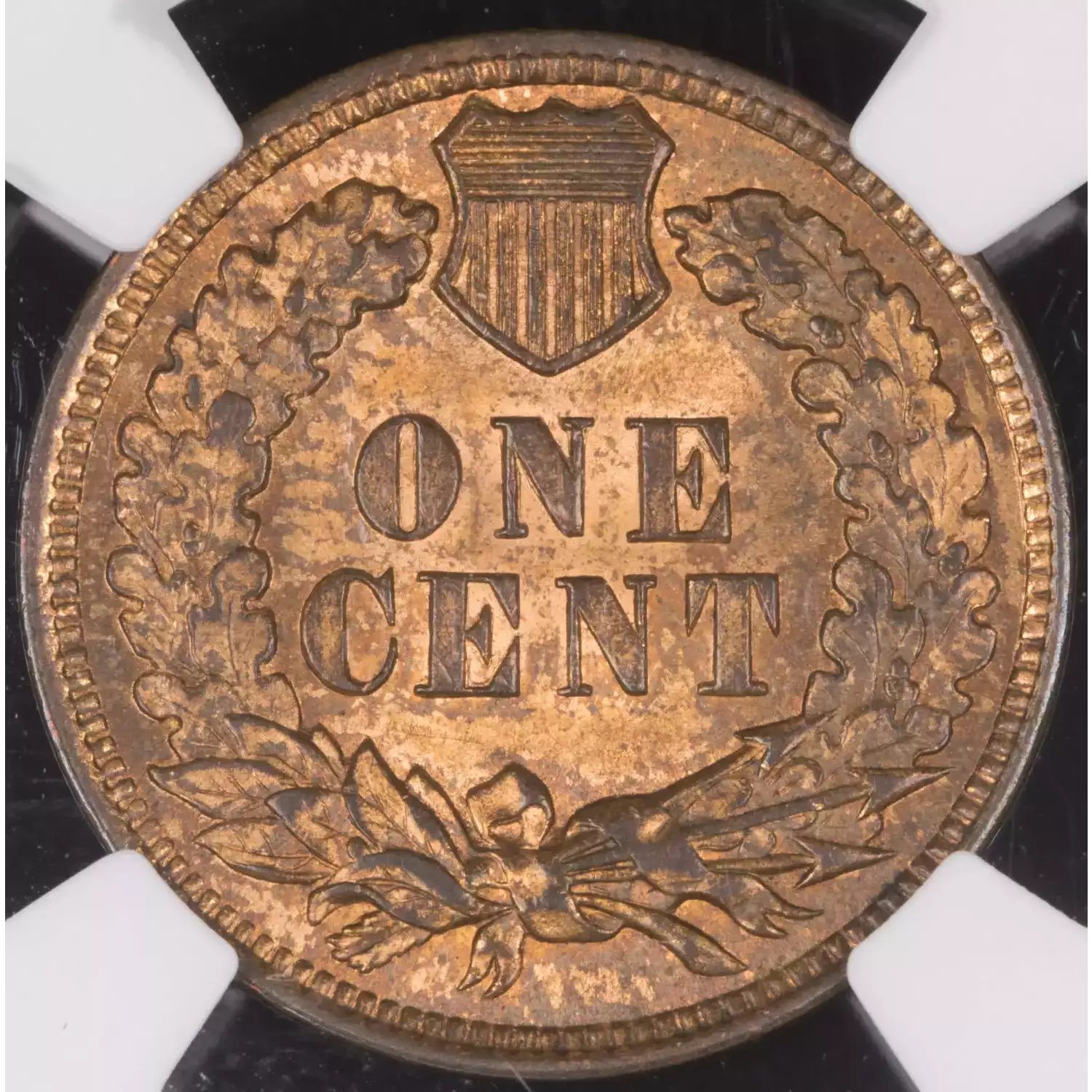 1899 NGC MS-63 RB Small Cents Indian Head - Hertel's Coins Inc.