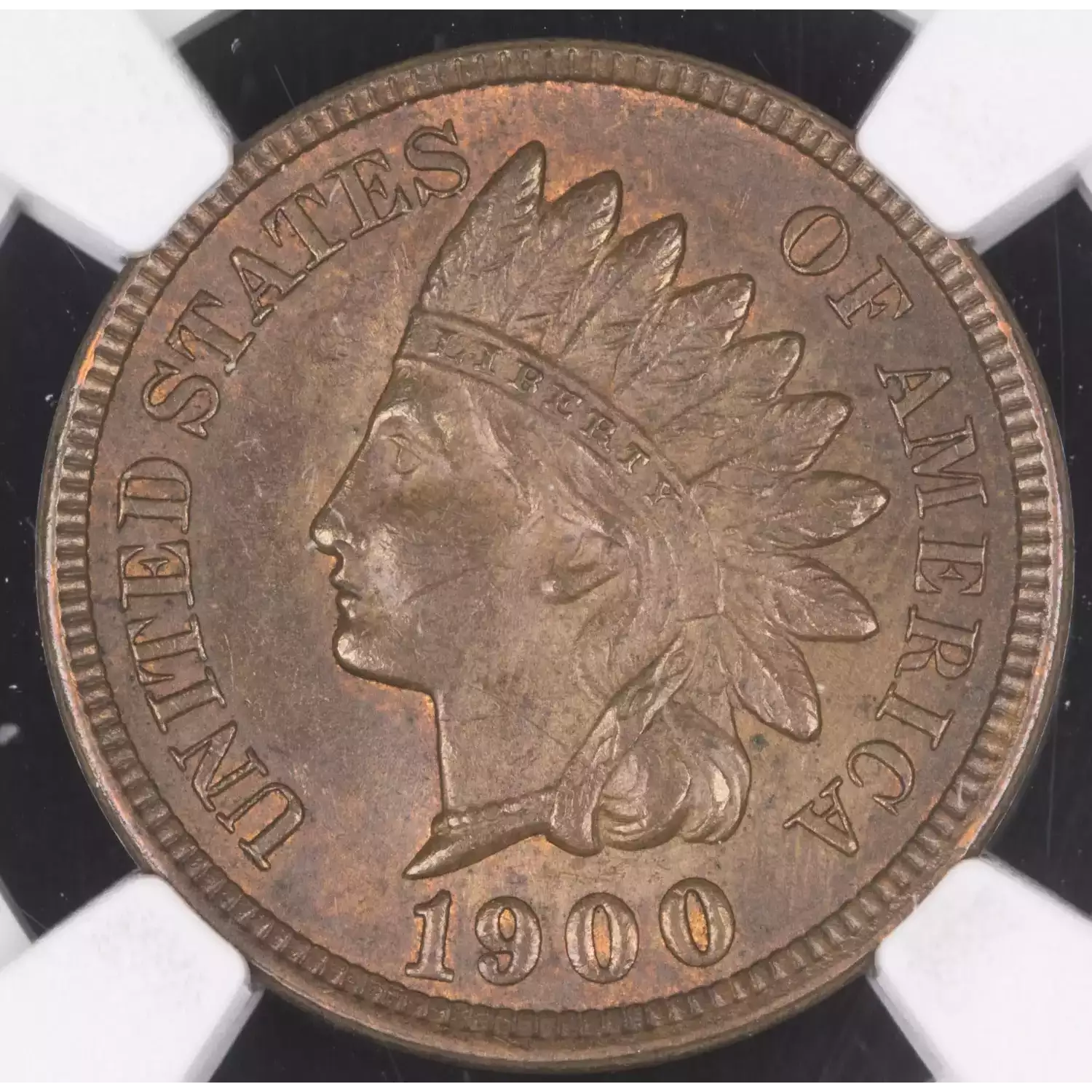 1900 NGC MS-62 BN Small Cents Indian Head - Hertel's Coins Inc.