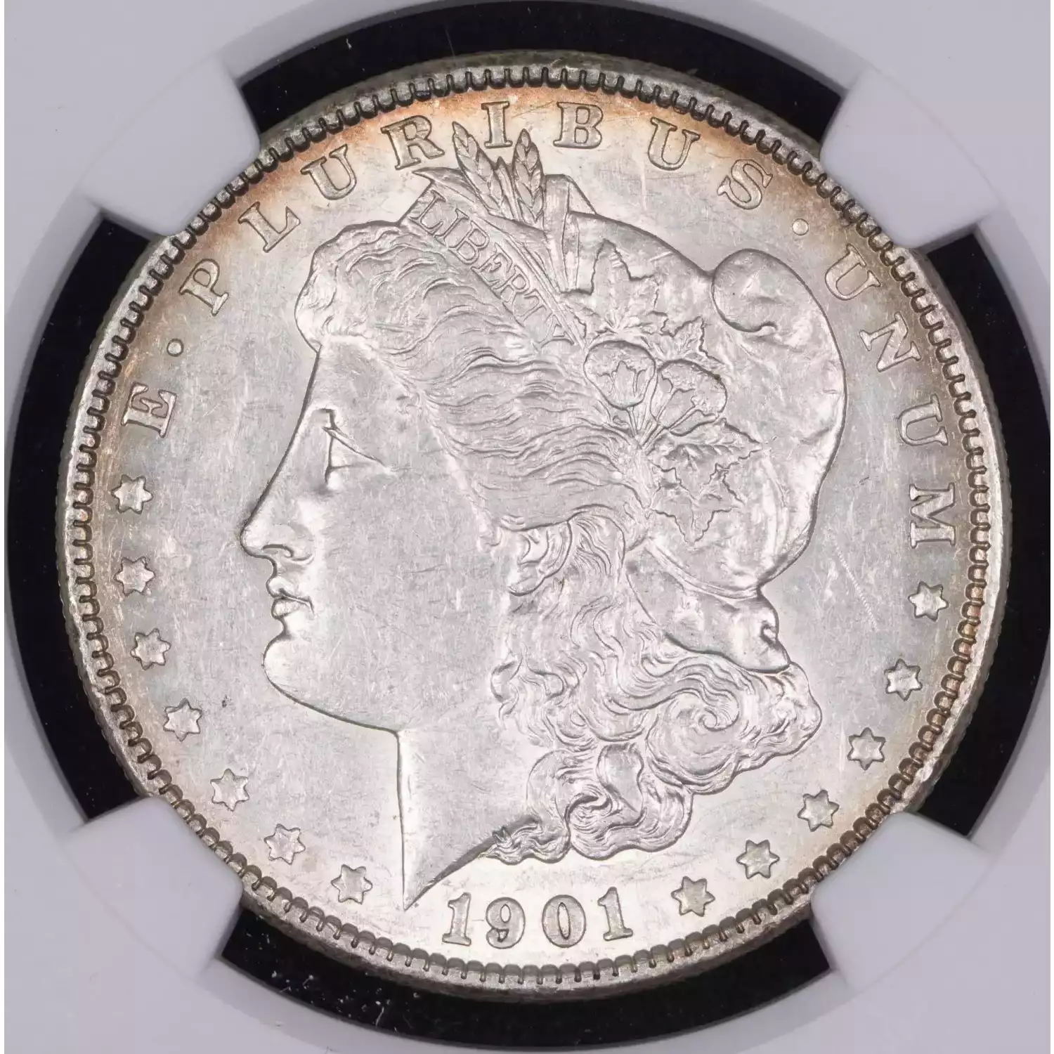 1901 Morgan Silver Dollar NGC AU-50 - Hertel's Coins Inc.