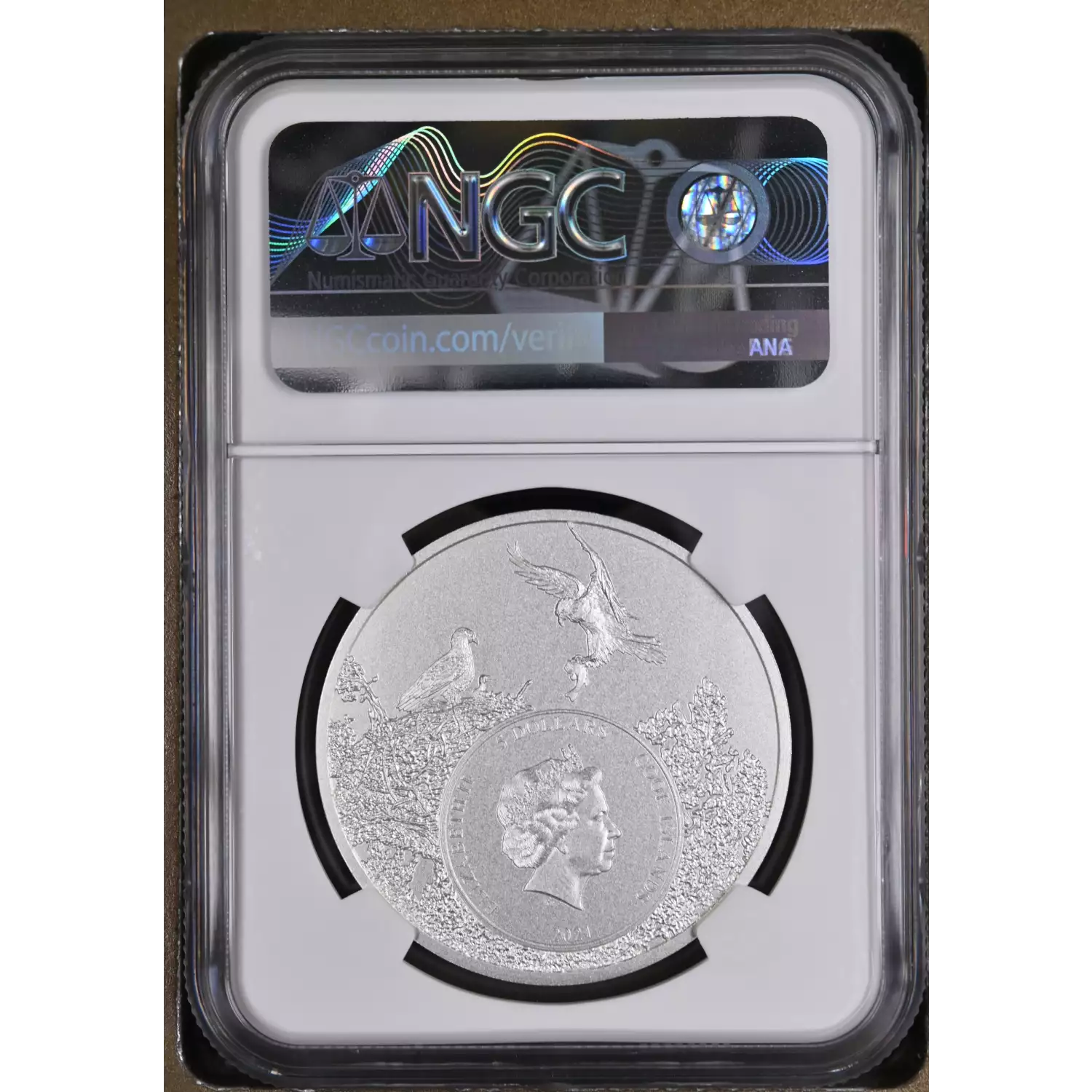 2021 NGC MS-70 New Mexico Greater Roadrunner U.S. State Animal Series ...